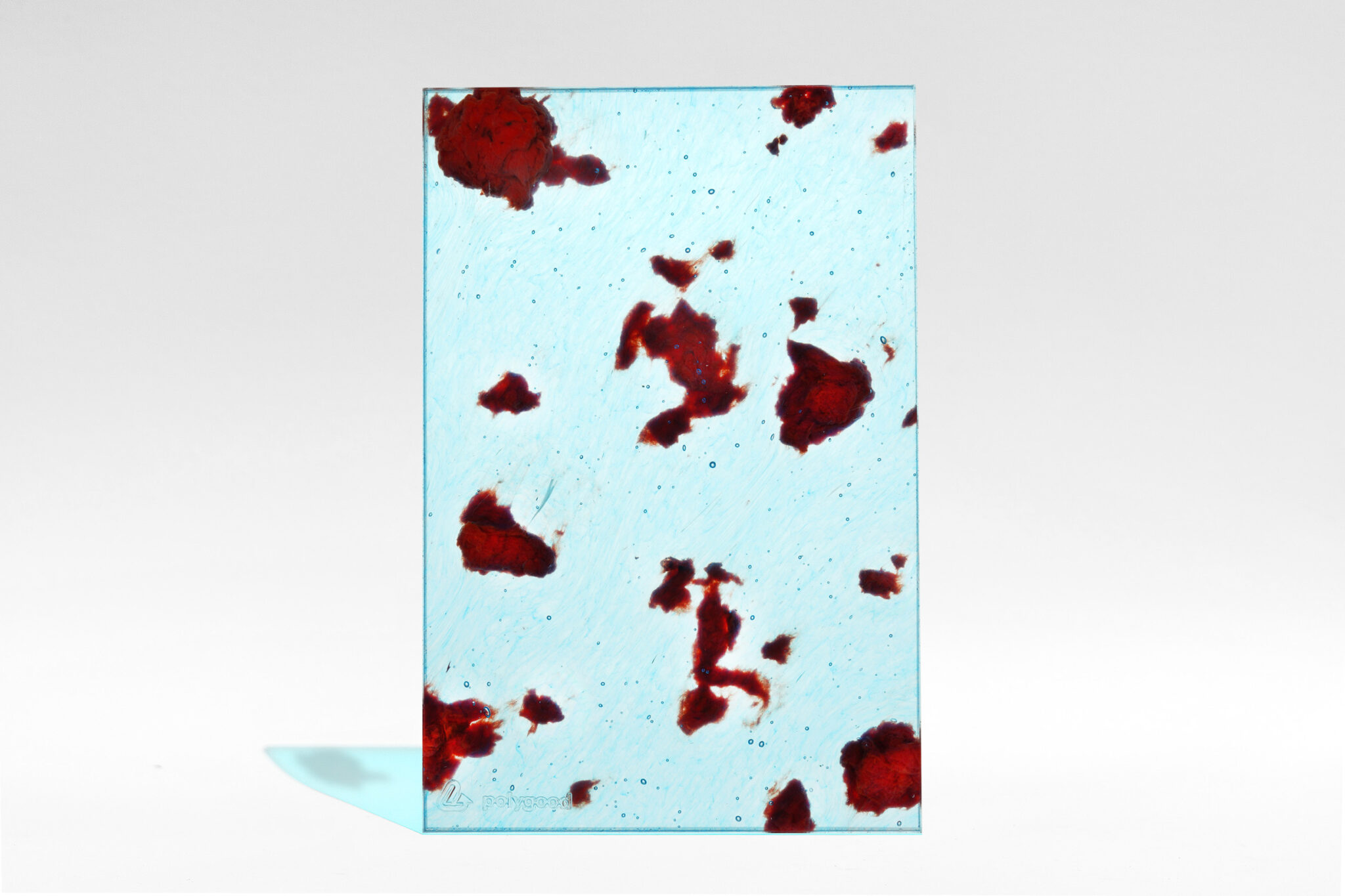 Coral Reef - Polygood by The Good Plastic Company