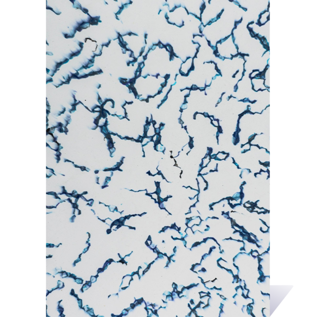 Sea Foam Blue - Polygood by The Good Plastic Company